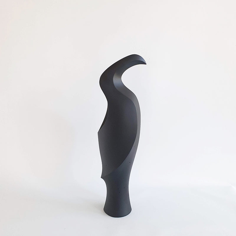 Kawau (Black Shag) 2022 – Masterworks Gallery NZ